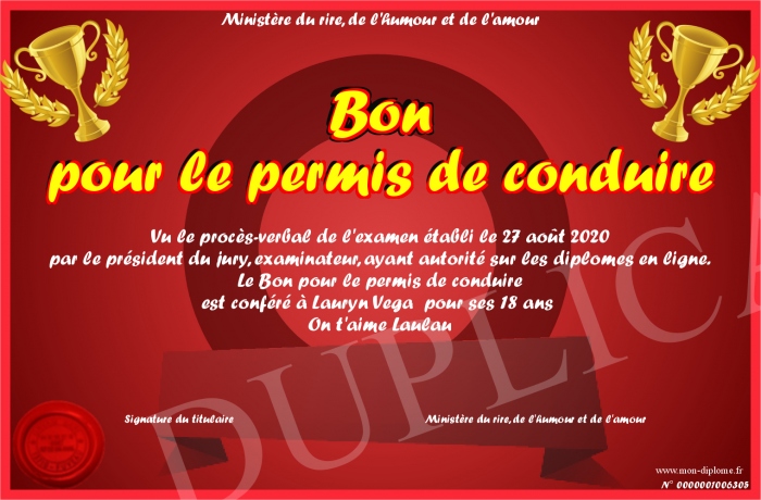 Bon-pour-le-permis-de-conduire Bon-pour-le-permis-de-conduire