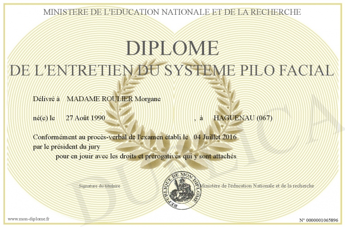 Diplome-de-l-Entretien-du-systeme-pilo-facial Diplome-de-l-Entretien-du-systeme-pilo-facial