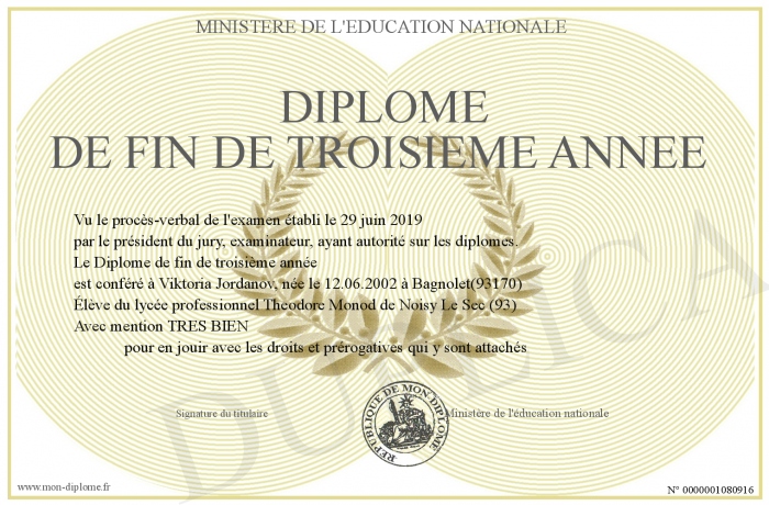 Diplome-de-fin-de-troisieme-annee