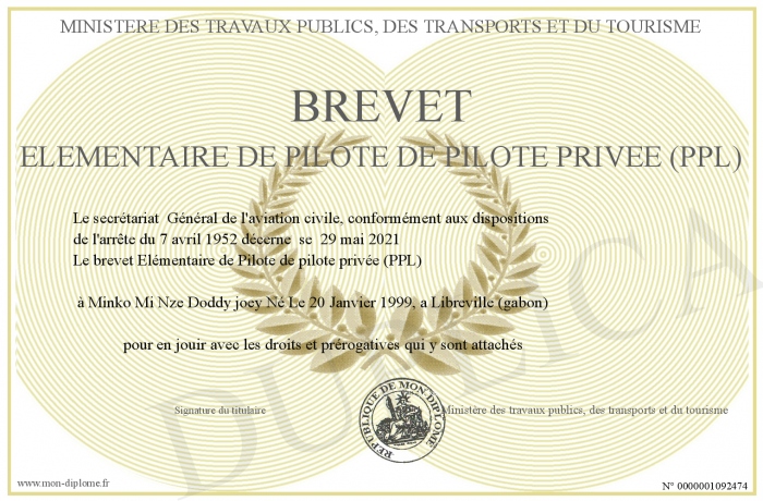 brevet-Elementaire-de-Pilote-de-pilote-privee-(PPL) brevet-Elementaire-de-Pilote-de-pilote-privee-(PPL)