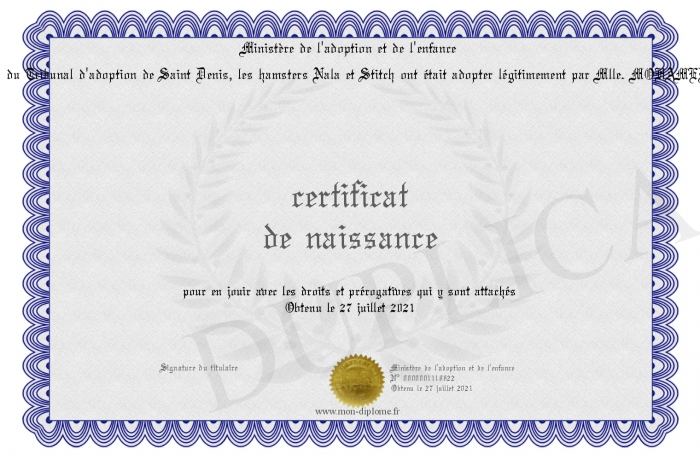 certificat-de-naissance