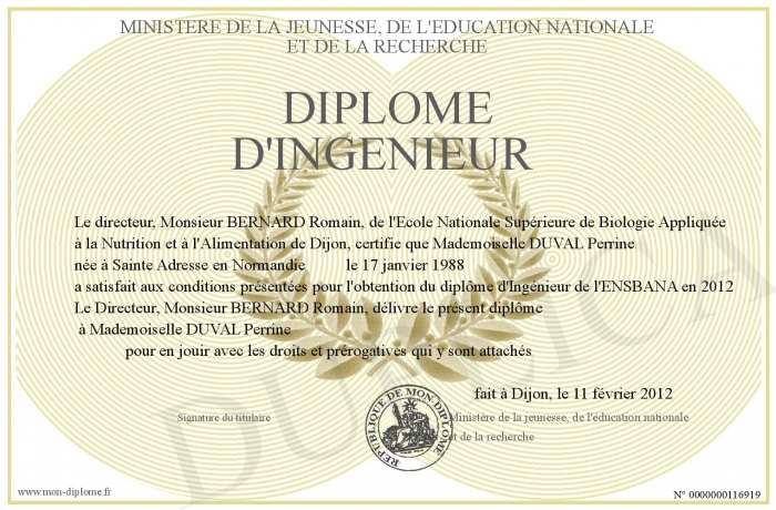 Diplome-d-Ingenieur
