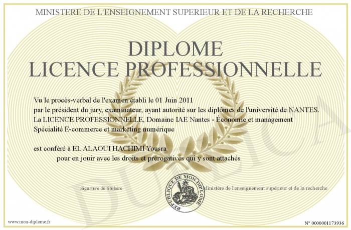Diplome-LICENCE-PROFESSIONNELLE