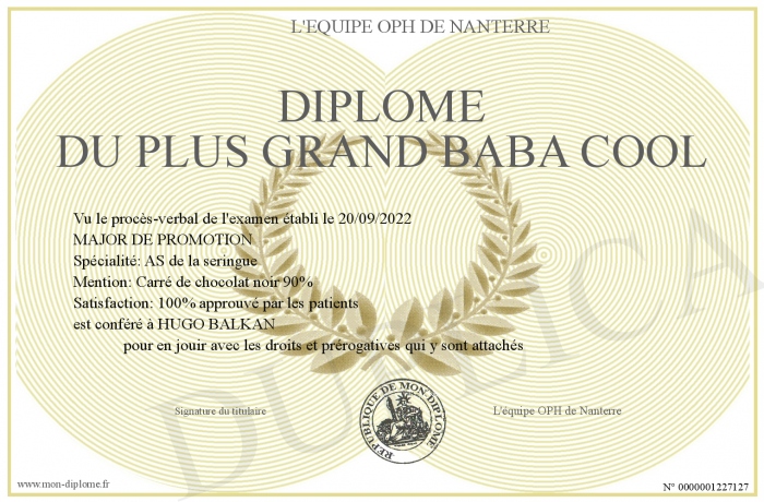 Diplome-du-PLUS-GRAND-BABA-COOL