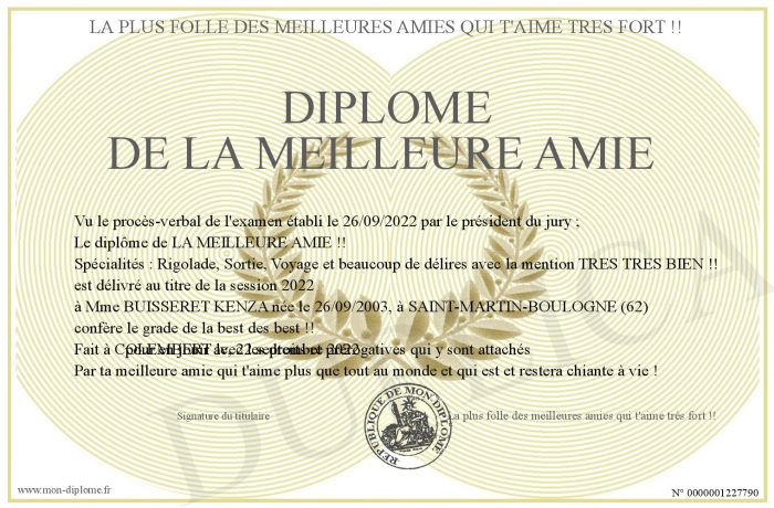 Diplome De La Meilleure Amienull
