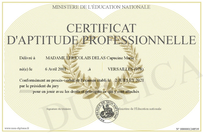 CERTIFICAT-D-aptitude-professionnelle