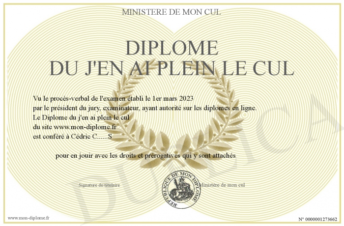 Diplome Du J En Ai Plein Le Cul