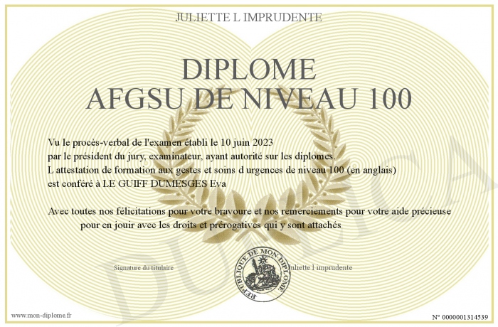 Diplome-AFGSU-de-niveau-100 Diplome-AFGSU-de-niveau-100