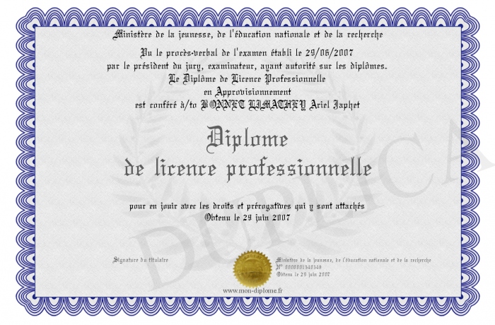 Diplome-de-licence-professionnelle