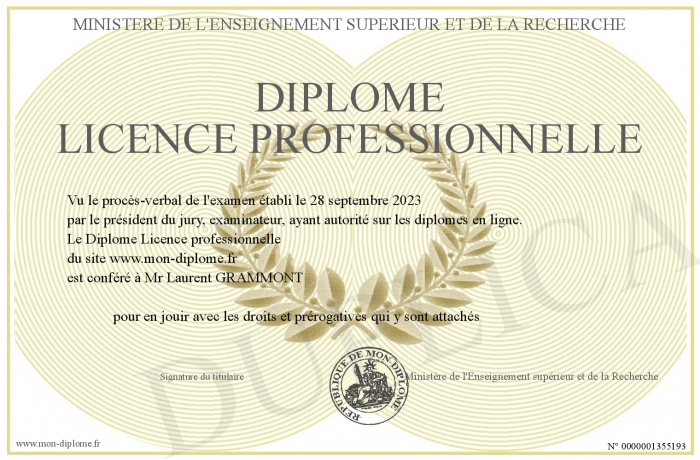 Diplome-Licence-professionnelle