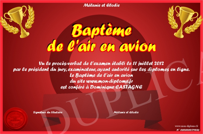 Bapteme-de-l-air-en-avion Bapteme-de-l-air-en-avion