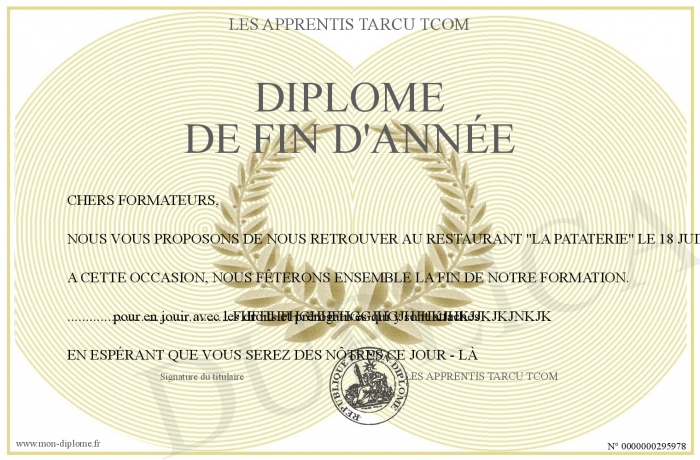 DIPLOME-DE-FIN-D-ANNÉE