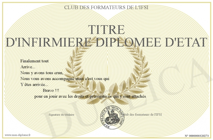 titre-d-Infirmiere-Diplomee-d-Etat titre-d-Infirmiere-Diplomee-d-Etat