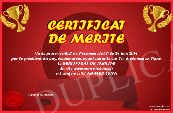 CERTIFICAT-DE-MERITE