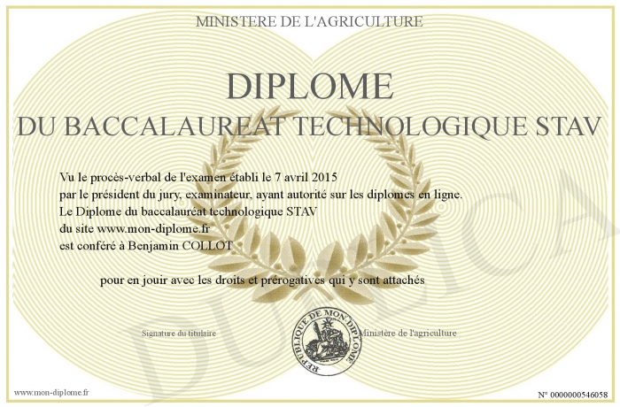 Diplome-du-baccalaureat-technologique-STAV