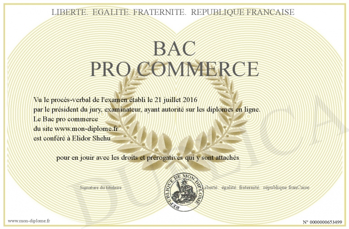 Bac-pro-commerce