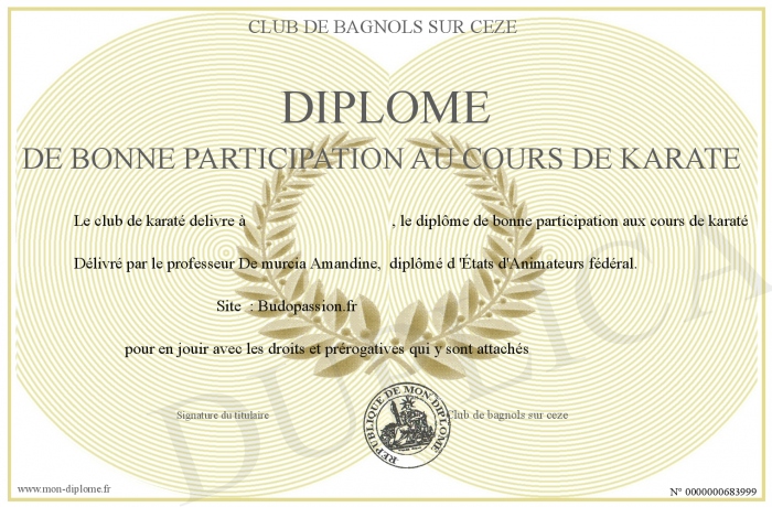 Diplome-de-bonne-participation-au-cours-de-karate Diplome-de-bonne-participation-au-cours-de-karate