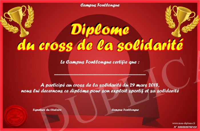 Diplome-du-cross-de-la-solidarite