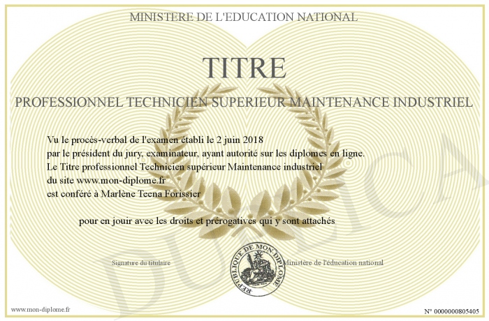 Titre-professionnel-Technicien-superieur-Maintenance-industriel Titre-professionnel-Technicien-superieur-Maintenance-industriel