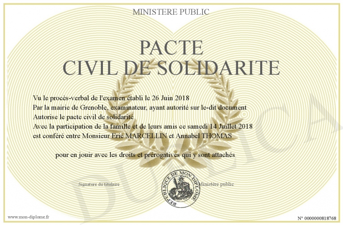 Pacte Civil De Solidarite