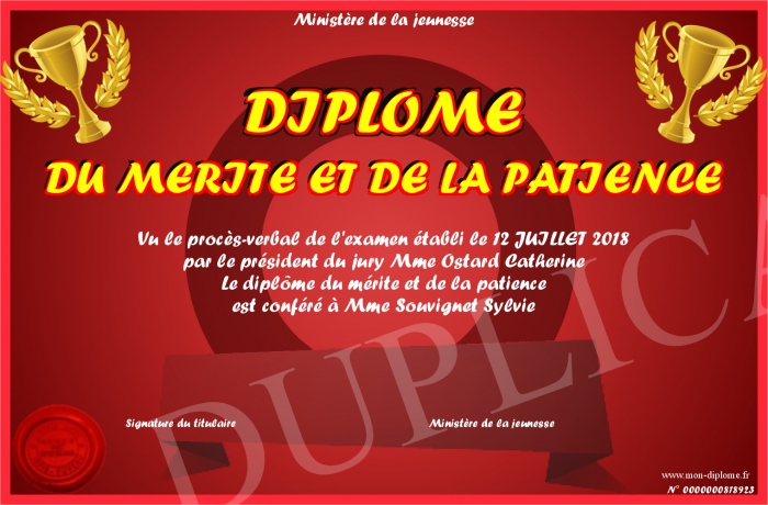 DIPLOME-DU-MERITE-ET-DE-LA-PATIENCE