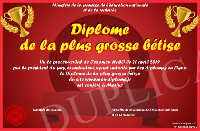 Diplome-de-la-plus-grosse-betise Diplome-de-la-plus-grosse-betise