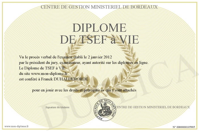 Diplome-de-TSEF-a-VIE