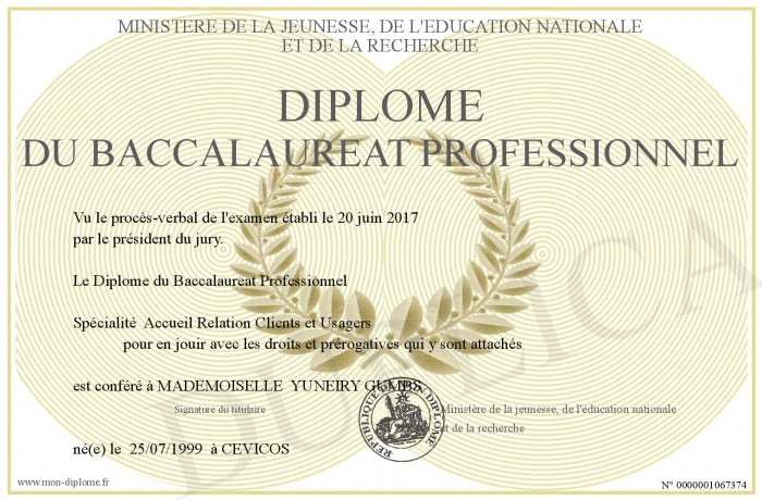 Diplome-du-baccalaureat-professionnel