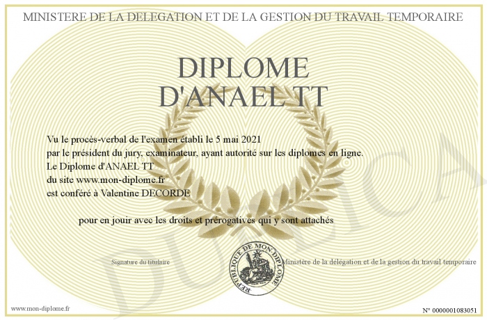 Diplome-d-ANAEL-TT