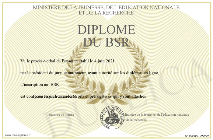 Diplome-du-BSR