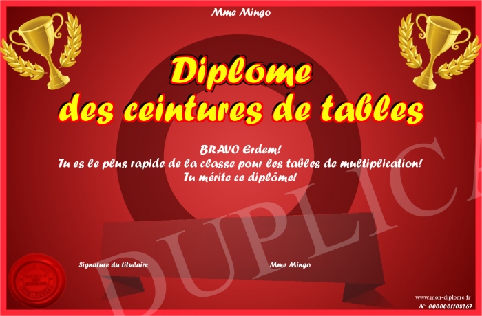Diplome-des-ceintures-de-tables