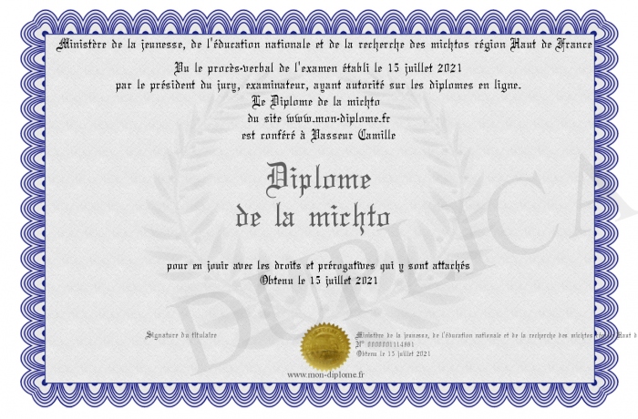 Diplome-de-la-michto