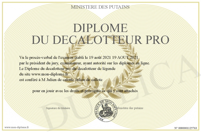 Diplome-du-decalotteur-pro