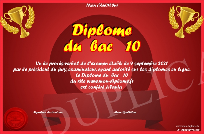 Diplome-du--bac---10