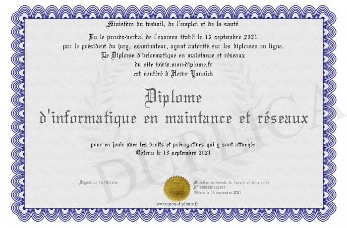 Diplome-d-informatique-en-maintance-et-reseaux
