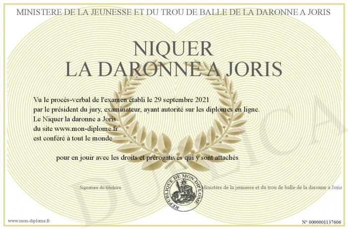Niquer-la-daronne-a-Joris