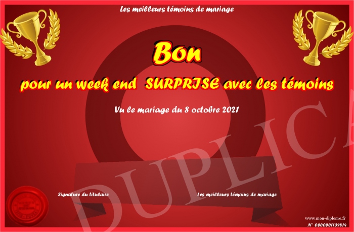 Bon-pour-un-week-end--SURPRISE-avec-les-temoins