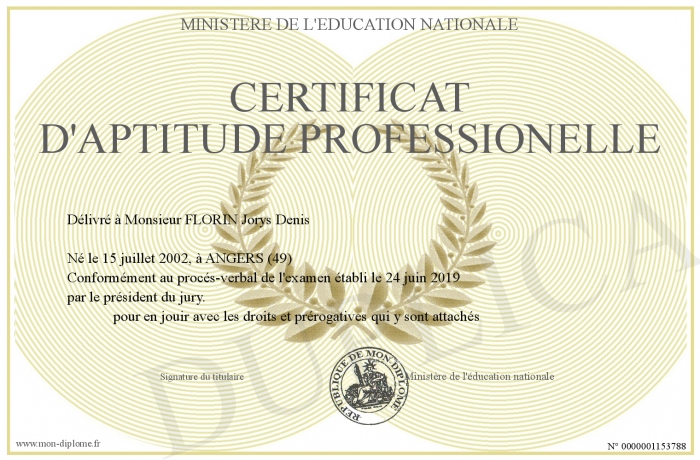 CERTIFICAT-D-APTITUDE-PROFESSIONELLE