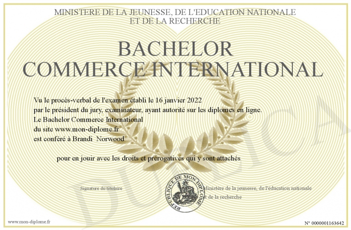 Bachelor-Commerce-International