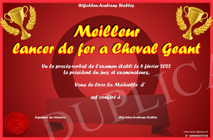 Meilleur-lancer-de-fer-a-Cheval-Geant