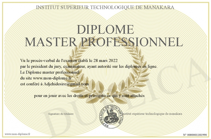 Diplome-master-professionnel