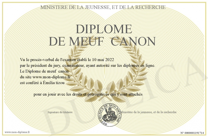 Diplome-de-meuf--canon