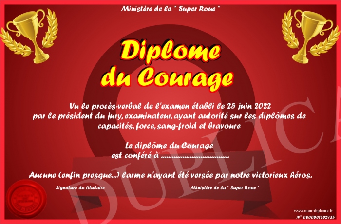 Diplome-du-Courage