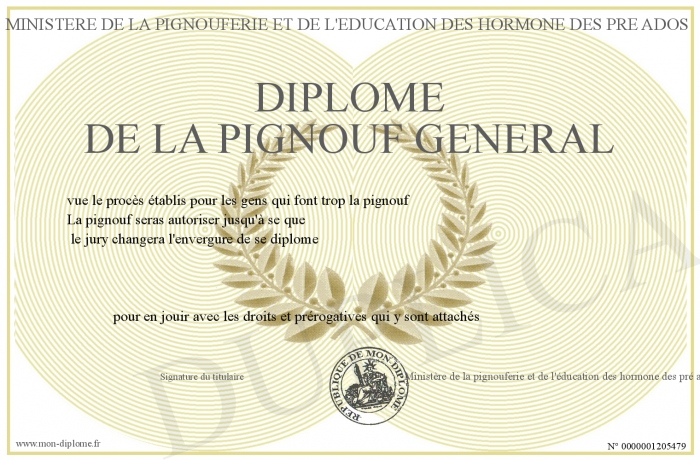 Diplome-de-la-pignouf-general