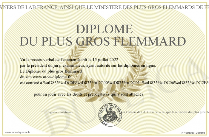 Diplome-du-plus-gros-flemmard