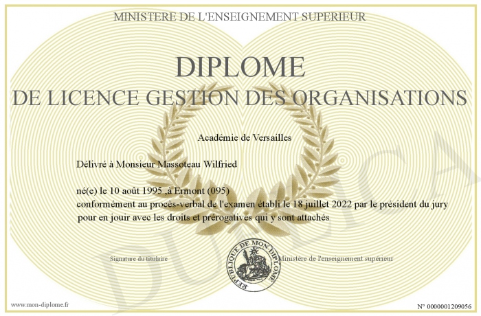 Diplome-de-Licence-Gestion-des-Organisations