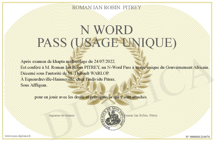 N-Word-Pass-(usage-unique)