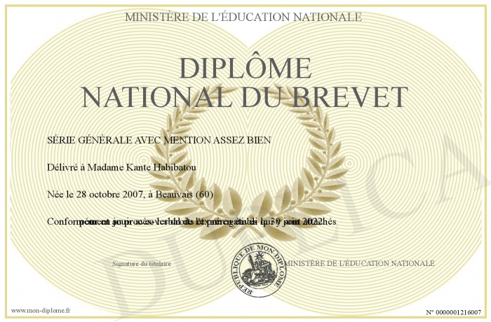 DIPLÔME NATIONAL DU BREVET