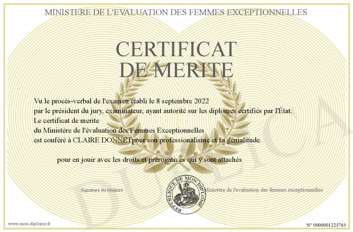 Certificat De Mérite – Texte Pour Certificat De Mérite – VYJSBI