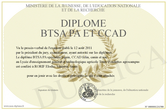 Diplome-BTSA-Pa-et-ccad